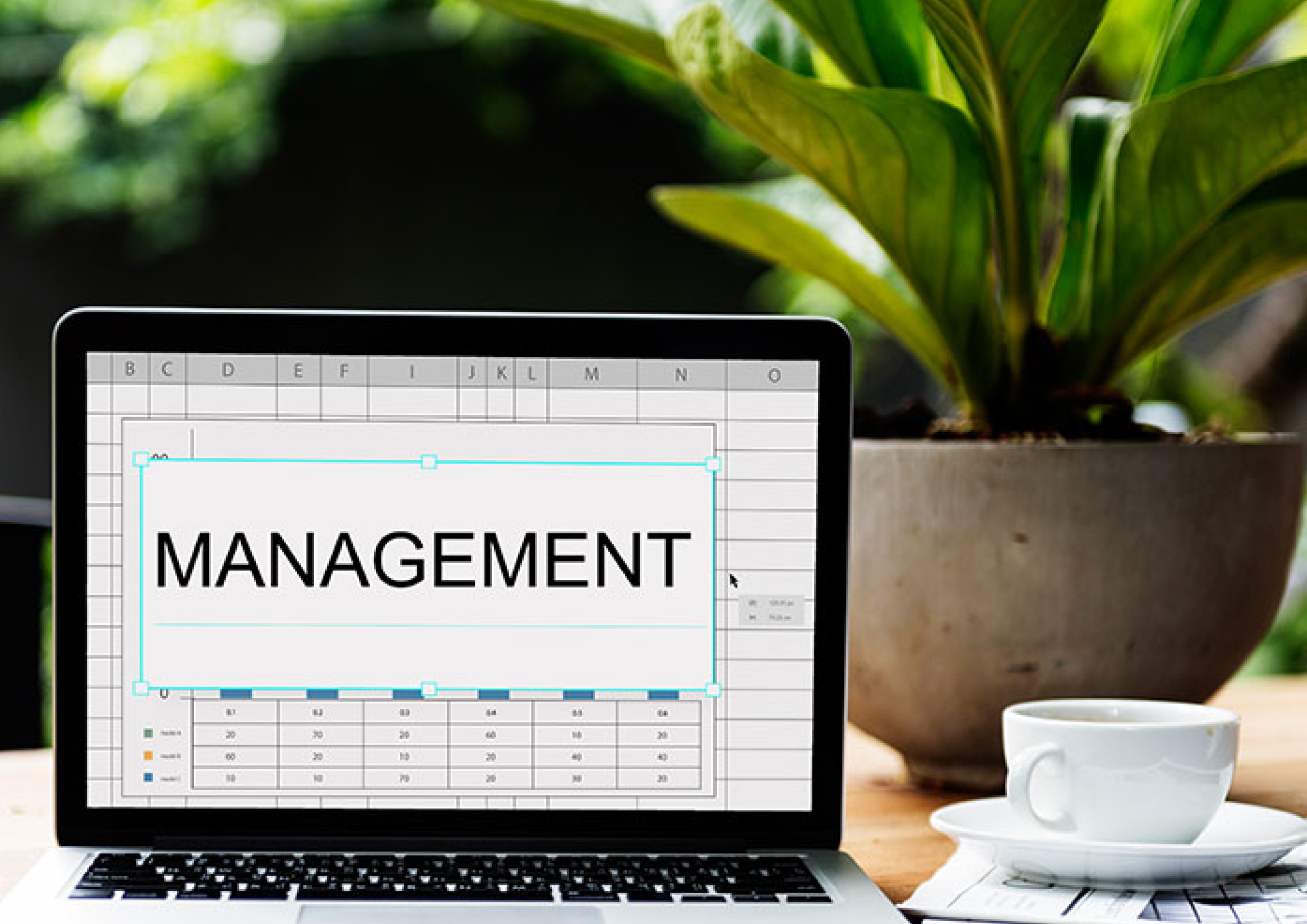 Future Enhancements of Online Leave Management System in 2023 in UAE